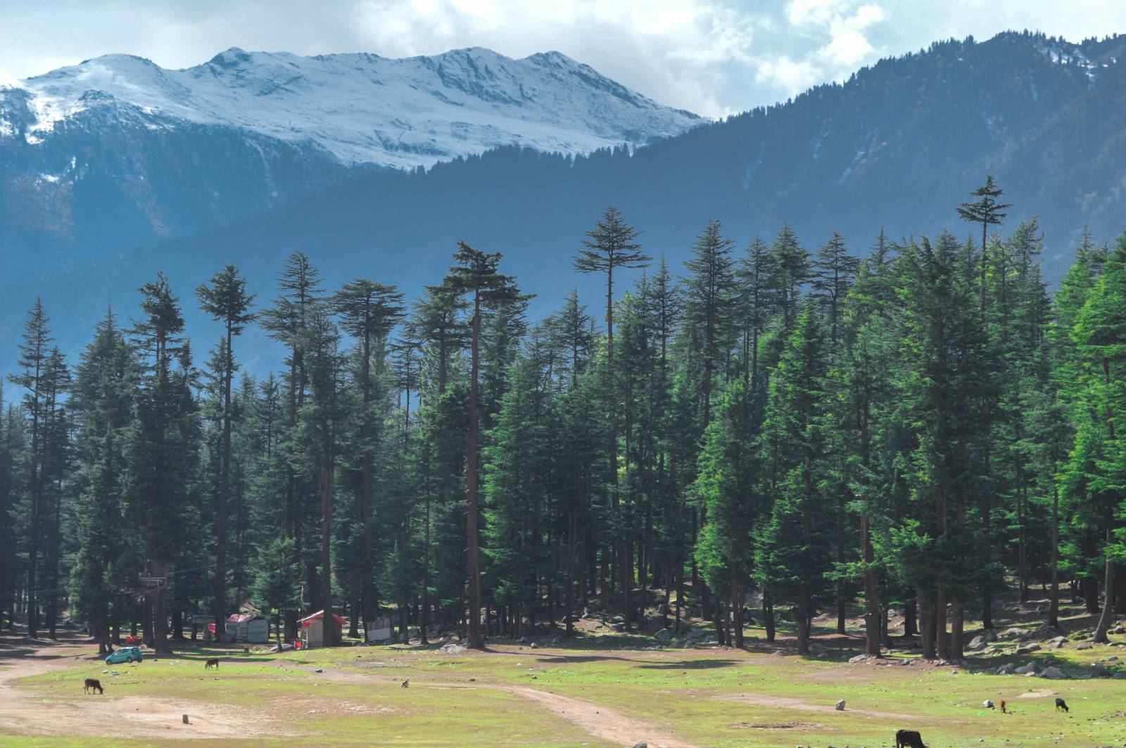 Top Hotels & Travel Services in Swat & Shogran - Porter Pakistan